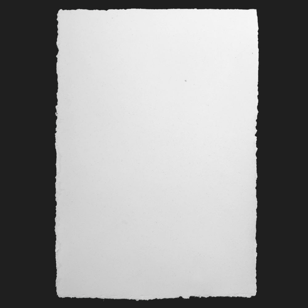 SUPERFINE – Dodgy Paper